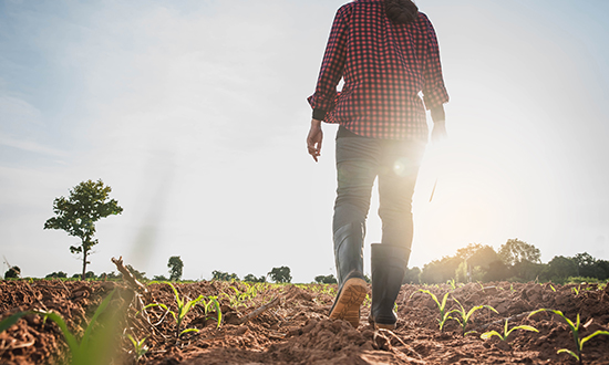 Bokep bociel straightforward 2-text process the first for